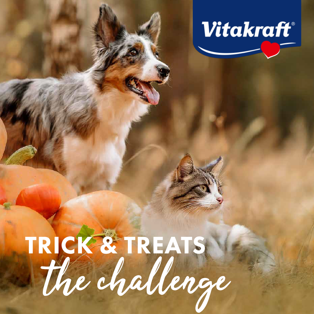 Trick & Treats: Vis dit kæledyrs trick og vind præmier! | Vitakraft